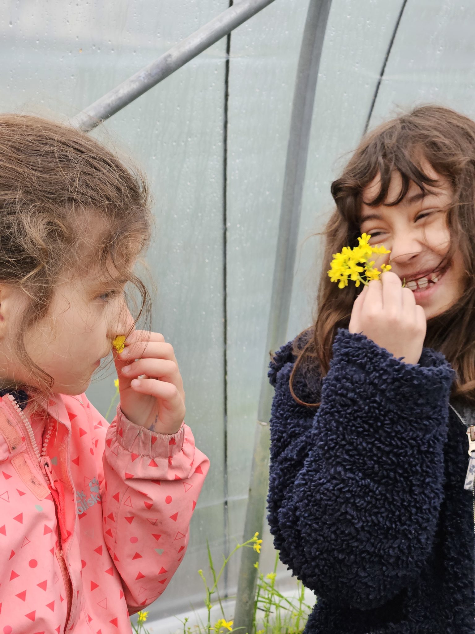 Qu'est-ce qu'il y a dans un potager , en avril, en Belgique ? - Notre École